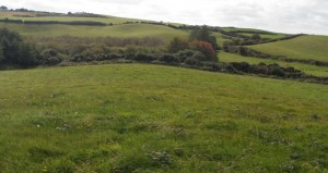 Agri-Environment Schemes,Nutrient Management Planning,reps scheme